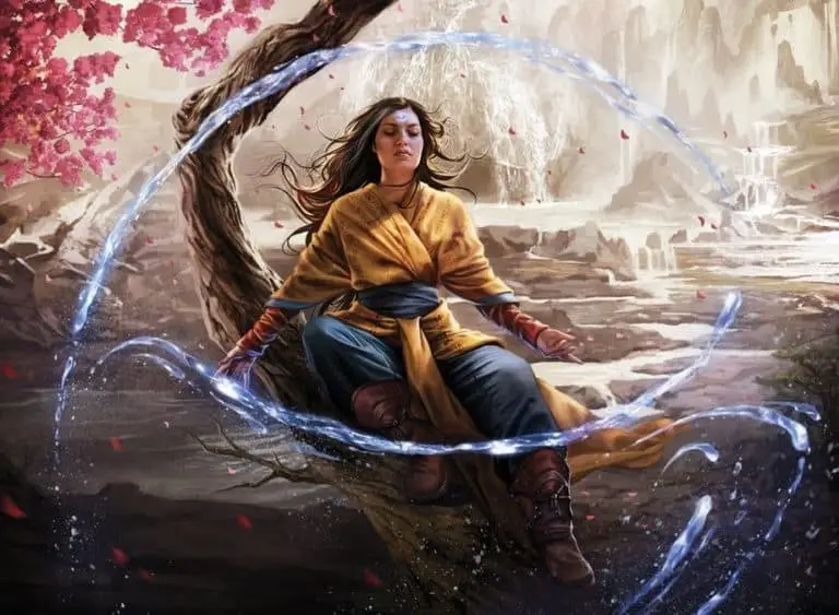 The Complete Guide to the Monk Class in D&D 5e - Tabletop Joab