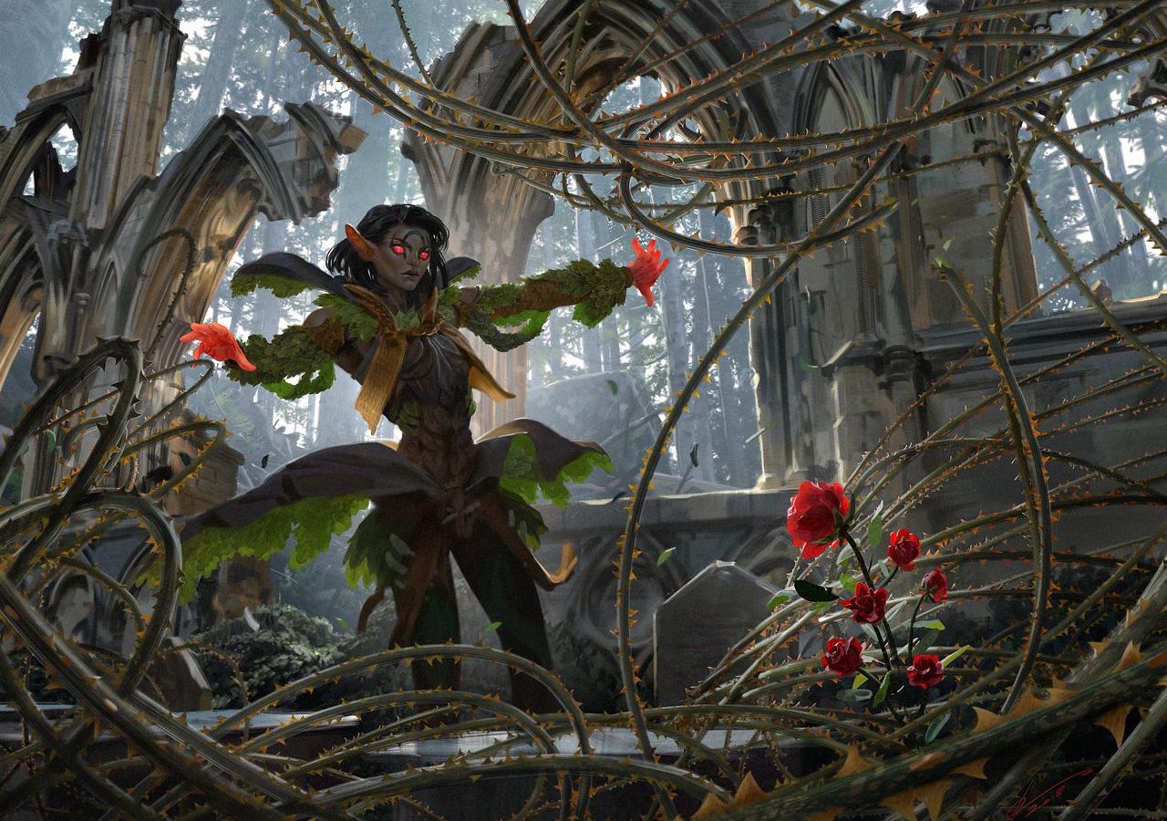 Entangle 5e Spell Guide - Tabletop Joab