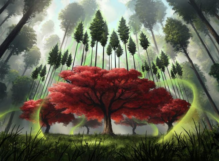 Plant Growth 5e Spell Guide - Tabletop Joab